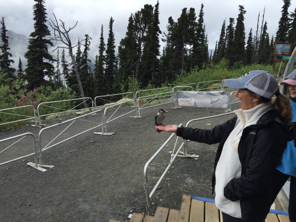 Seven Signs of the Aging Apocalypse - M.Blazoned